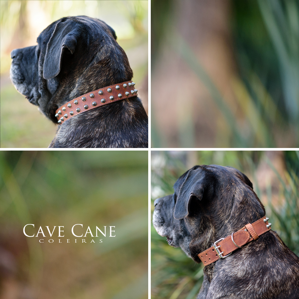 coleira_couro_spikes_cachorro (2) | Canil Cave Cane